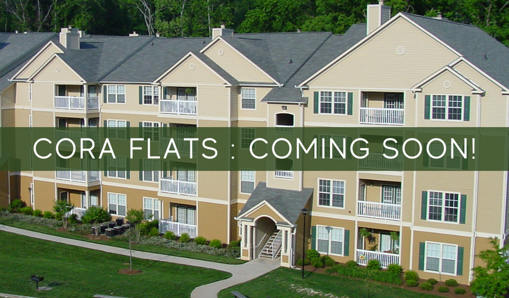 Cora Flats Apartments building 93 units in Booming East Waco Location ...