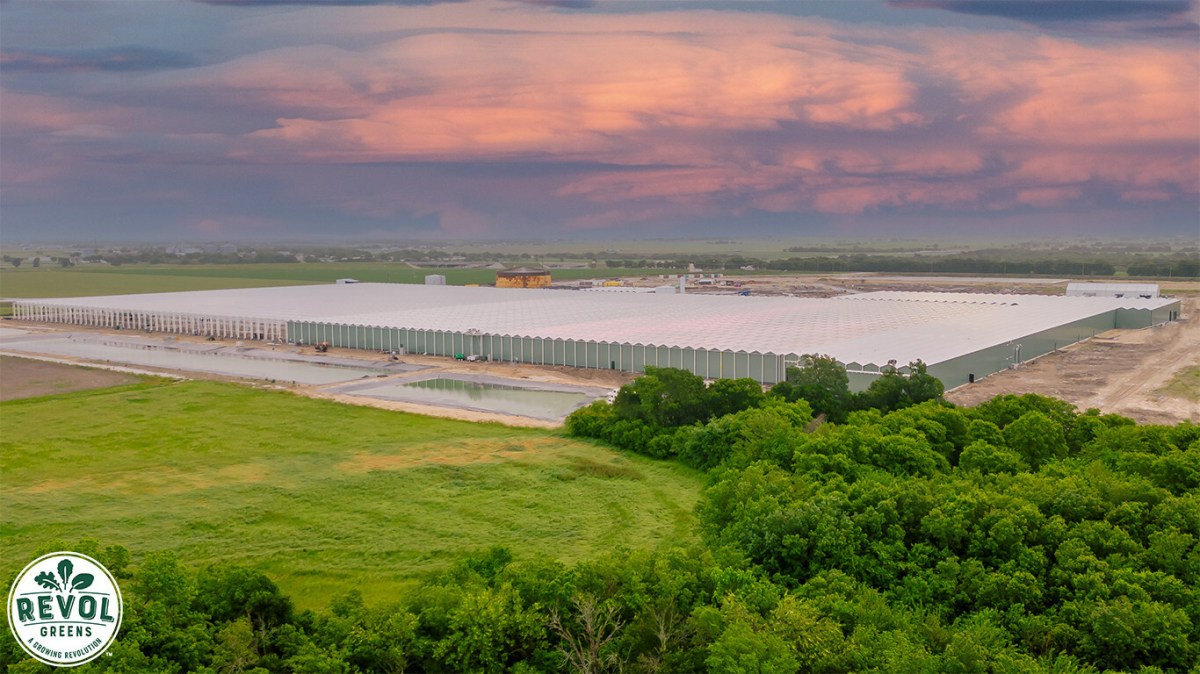 Revol Greens Unveils Largest-Ever Lettuce Facility with Advanced AI ...